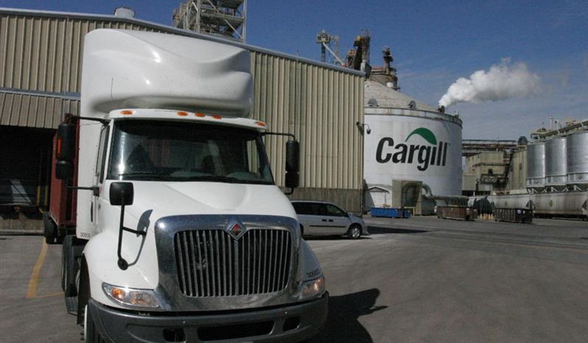 Contact Us - EWOS - Canada