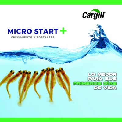Cargill perfecciona dieta de agua dulce para los primeros días de vida ...